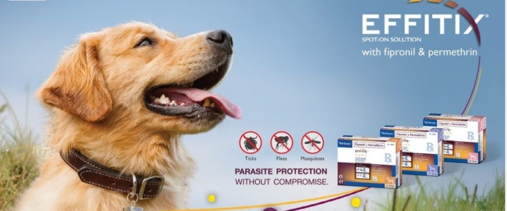 Virbac brings to PH spot on topical solution Effitix for prevention of ...