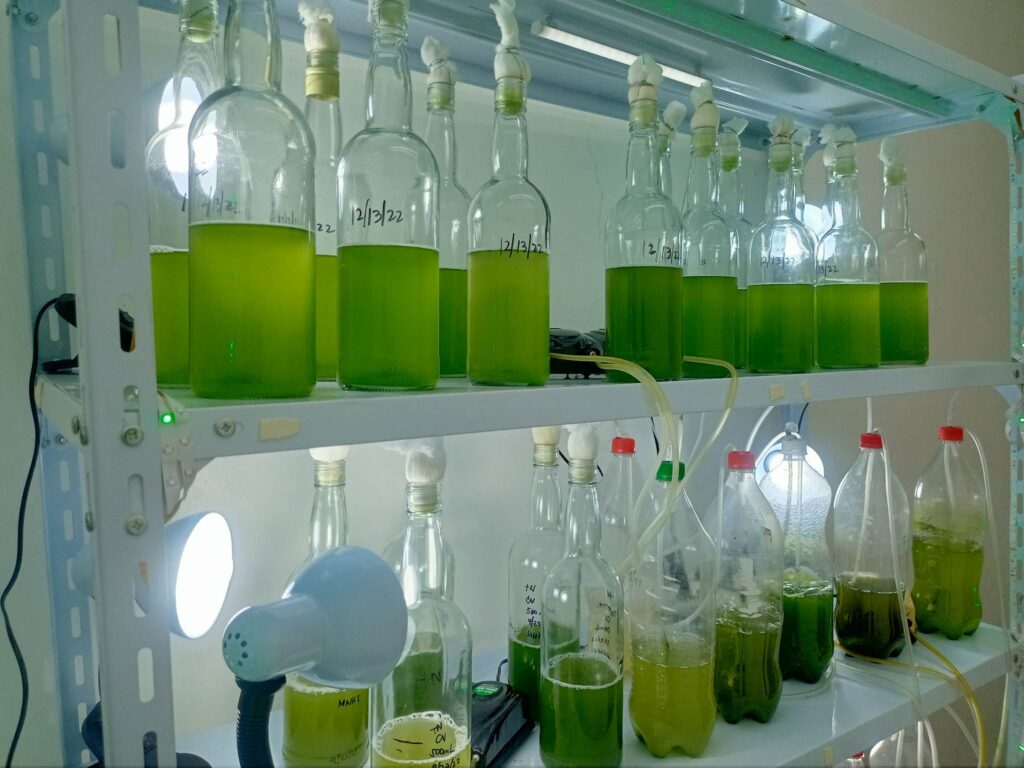 Filipino winners in Zayed Sustainability Prize call for more entries to ...